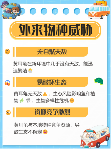 老人为什么不建议养乌龟_养龟对老人的潜在风险-第3张图片-山城妙识 老人为什么不建议养乌龟_养龟对老人的潜在风险-第3张图片-山城妙识