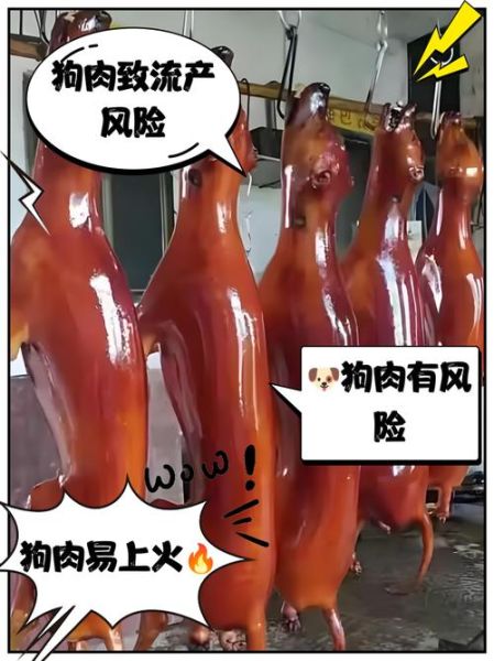国家禁止吃狗肉是真的吗_狗肉禁令最新进展-第2张图片-山城妙识 国家禁止吃狗肉是真的吗_狗肉禁令最新进展-第2张图片-山城妙识