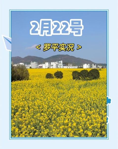 罗平油菜花最佳时间2021_花期持续多久-第3张图片-山城妙识