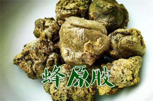 纯天然蜂胶怎么吃_蜂胶的功效与作用-第3张图片-山城妙识 纯天然蜂胶怎么吃_蜂胶的功效与作用-第3张图片-山城妙识