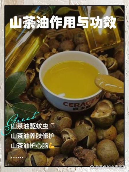 茶油的功效与作用及食用方法_茶油怎么吃最健康-第1张图片-山城妙识 茶油的功效与作用及食用方法_茶油怎么吃最健康-第1张图片-山城妙识