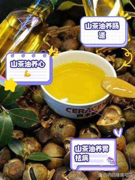 茶油的功效与作用及食用方法_茶油怎么吃最健康-第3张图片-山城妙识 茶油的功效与作用及食用方法_茶油怎么吃最健康-第3张图片-山城妙识