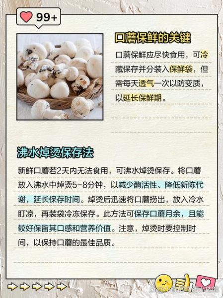 干口蘑怎么泡发_干口蘑的家常做法-第2张图片-山城妙识 干口蘑怎么泡发_干口蘑的家常做法-第2张图片-山城妙识