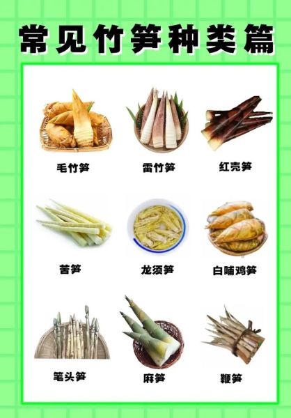 笋的种类有哪些_春笋和冬笋的区别-第2张图片-山城妙识