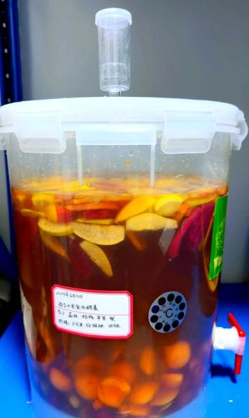 水果酵素怎么做_自制水果酵素需要多久-第2张图片-山城妙识 水果酵素怎么做_自制水果酵素需要多久-第2张图片-山城妙识