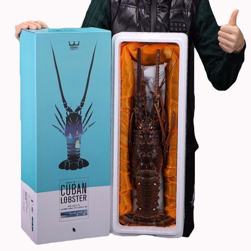 澳洲花龙虾多少钱一斤_澳洲花龙虾价格行情-第1张图片-山城妙识 澳洲花龙虾多少钱一斤_澳洲花龙虾价格行情-第1张图片-山城妙识