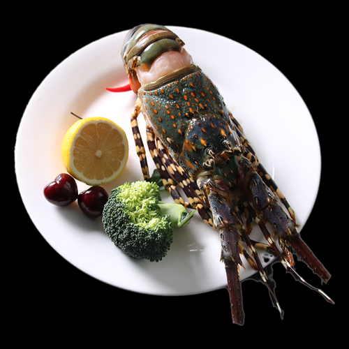 澳洲花龙虾多少钱一斤_澳洲花龙虾价格行情-第2张图片-山城妙识 澳洲花龙虾多少钱一斤_澳洲花龙虾价格行情-第2张图片-山城妙识