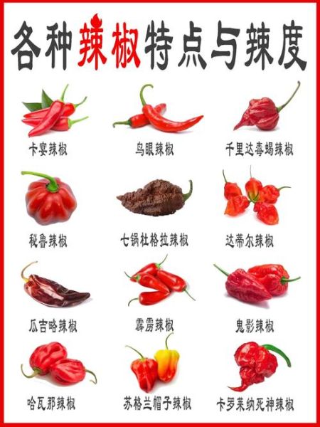 各种辣椒图片大全大图_如何辨别辣椒品种-第1张图片-山城妙识 各种辣椒图片大全大图_如何辨别辣椒品种-第1张图片-山城妙识