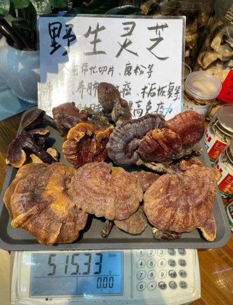 野生灵芝的功效与作用及禁忌_哪些人不能吃-第1张图片-山城妙识