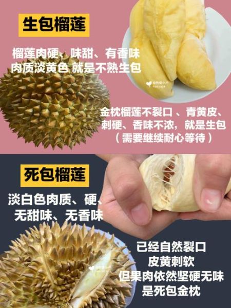 榴莲app最新下载网址在哪里_如何安全获取安装包-第3张图片-山城妙识