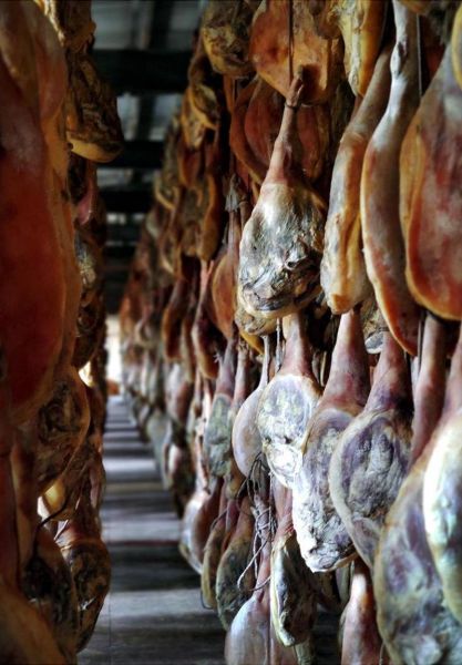 火腿火腿完整版百度网盘_如何安全高速下载-第1张图片-山城妙识 火腿火腿完整版百度网盘_如何安全高速下载-第1张图片-山城妙识