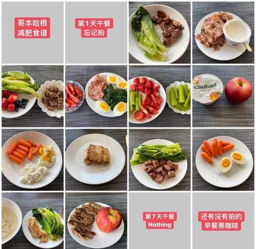 哥本哈根减肥法食谱13天下载_真的有用吗-第2张图片-山城妙识 哥本哈根减肥法食谱13天下载_真的有用吗-第2张图片-山城妙识