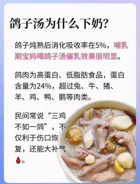 坐月子喝鸽子汤回奶吗_鸽子汤回奶还是下奶-第1张图片-山城妙识 坐月子喝鸽子汤回奶吗_鸽子汤回奶还是下奶-第1张图片-山城妙识