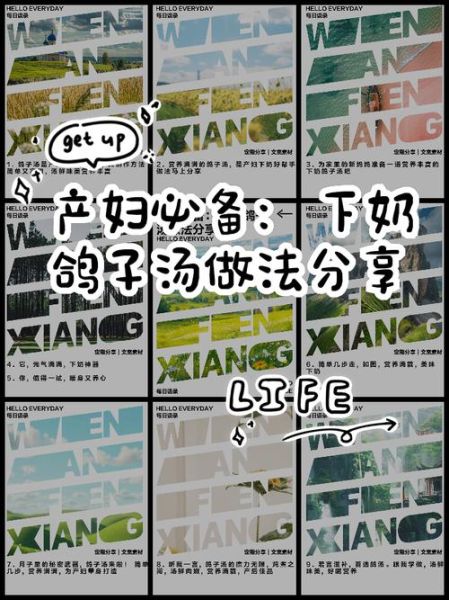 坐月子喝鸽子汤回奶吗_鸽子汤回奶还是下奶-第3张图片-山城妙识 坐月子喝鸽子汤回奶吗_鸽子汤回奶还是下奶-第3张图片-山城妙识