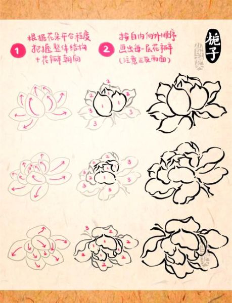 栀子花简笔画怎么画_栀子花图片简笔画步骤-第2张图片-山城妙识 栀子花简笔画怎么画_栀子花图片简笔画步骤-第2张图片-山城妙识