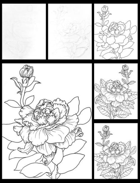 栀子花简笔画怎么画_栀子花图片简笔画步骤-第1张图片-山城妙识 栀子花简笔画怎么画_栀子花图片简笔画步骤-第1张图片-山城妙识