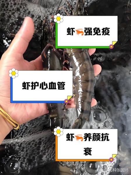 虾的营养价值有哪些_虾的功效与作用禁忌-第1张图片-山城妙识 虾的营养价值有哪些_虾的功效与作用禁忌-第1张图片-山城妙识