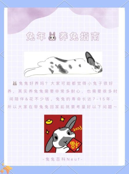 兔子怎么养才不容易死_新手养兔不死指南-第2张图片-山城妙识 兔子怎么养才不容易死_新手养兔不死指南-第2张图片-山城妙识