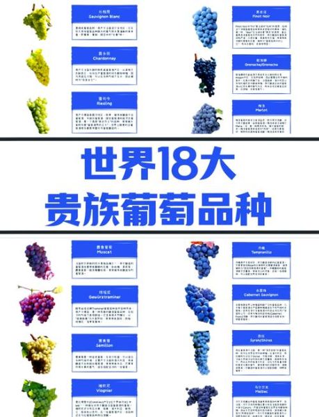 2024年最好的葡萄新品种有哪些_如何挑选适合自种的高端葡萄-第3张图片-山城妙识