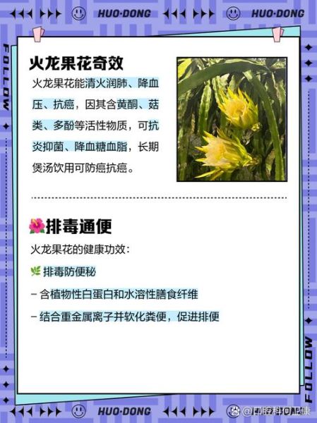 火龙果花可以吃吗_火龙果花怎么食用-第1张图片-山城妙识