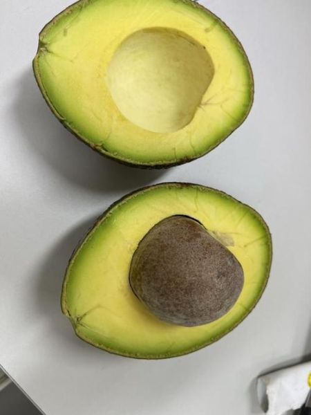 牛油果的核能生吃吗_牛油果的核怎么吃才安全-第3张图片-山城妙识 牛油果的核能生吃吗_牛油果的核怎么吃才安全-第3张图片-山城妙识