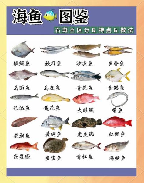 最便宜的几种海鱼有哪些_怎么挑选新鲜又省钱-第2张图片-山城妙识