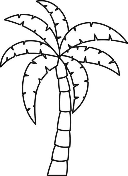 椰子树简笔画怎么画_椰子树简笔画视频教程-第2张图片-山城妙识