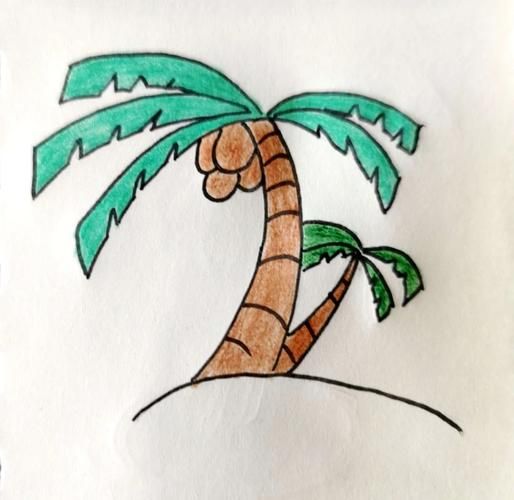 椰子树简笔画怎么画_椰子树简笔画视频教程-第1张图片-山城妙识