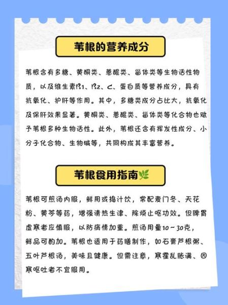芦苇根的功效与作用_芦苇根怎么泡水喝-第1张图片-山城妙识