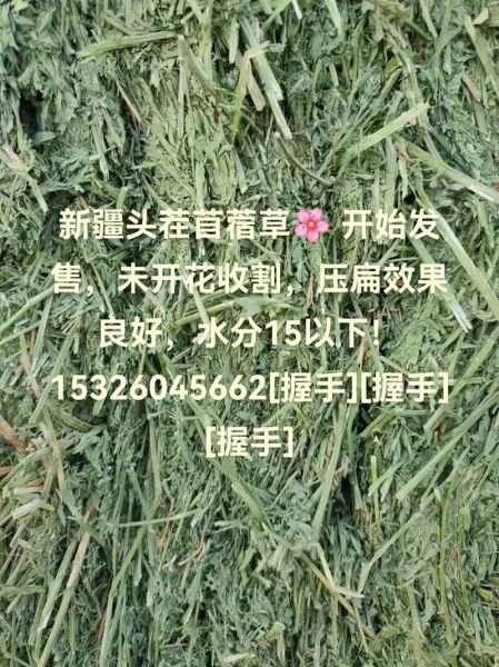 苜蓿草价格多少钱一吨_苜蓿草多少钱一吨-第1张图片-山城妙识