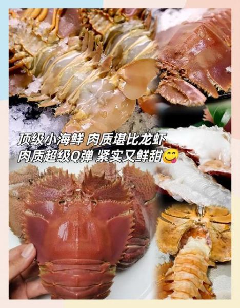 琵琶虾的功效与作用_琵琶虾的营养价值有哪些-第2张图片-山城妙识 琵琶虾的功效与作用_琵琶虾的营养价值有哪些-第2张图片-山城妙识