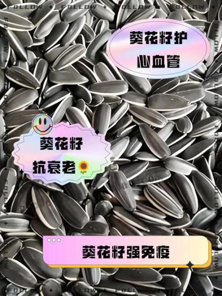 吃葵花籽有什么好处_葵花籽的功效与作用-第3张图片-山城妙识 吃葵花籽有什么好处_葵花籽的功效与作用-第3张图片-山城妙识