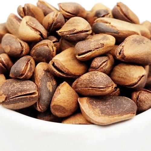 松子图片大全_松子有哪些品种-第3张图片-山城妙识 松子图片大全_松子有哪些品种-第3张图片-山城妙识