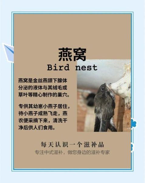 拉丝雪燕和燕窝的区别_哪个更好-第2张图片-山城妙识 拉丝雪燕和燕窝的区别_哪个更好-第2张图片-山城妙识