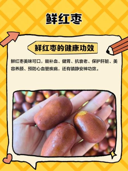 新鲜红枣怎么保存_新鲜红枣一天吃几颗最好-第3张图片-山城妙识 新鲜红枣怎么保存_新鲜红枣一天吃几颗最好-第3张图片-山城妙识