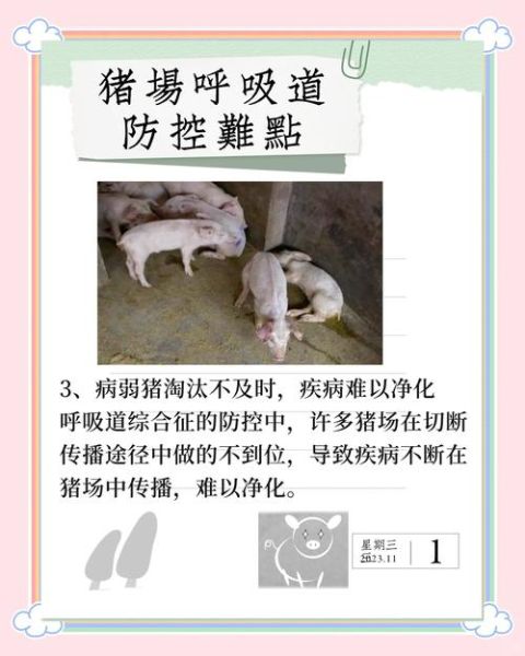猪瘟传播途径有哪些_猪瘟防控措施怎么做-第3张图片-山城妙识 猪瘟传播途径有哪些_猪瘟防控措施怎么做-第3张图片-山城妙识