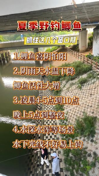 阿魏最适合钓什么鱼_阿魏钓鲫鱼鲤鱼技巧-第2张图片-山城妙识 阿魏最适合钓什么鱼_阿魏钓鲫鱼鲤鱼技巧-第2张图片-山城妙识