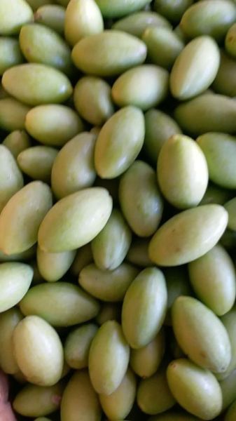 橄榄多少钱一斤_橄榄价格受哪些因素影响-第3张图片-山城妙识 橄榄多少钱一斤_橄榄价格受哪些因素影响-第3张图片-山城妙识