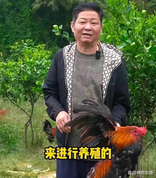 菜鸡大叔是谁_菜鸡大叔真实身份揭秘-第2张图片-山城妙识 菜鸡大叔是谁_菜鸡大叔真实身份揭秘-第2张图片-山城妙识