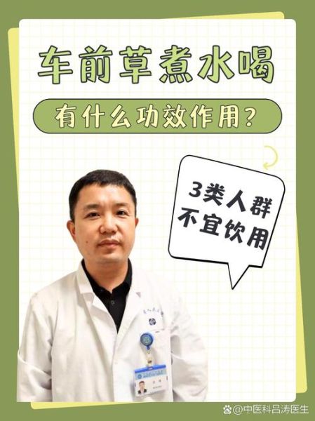 车前草泡水喝的功效与作用_车前草泡水喝的禁忌有哪些-第3张图片-山城妙识 车前草泡水喝的功效与作用_车前草泡水喝的禁忌有哪些-第3张图片-山城妙识