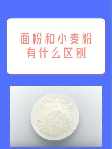 面粉是小麦粉吗_小麦粉和普通面粉的区别-第1张图片-山城妙识 面粉是小麦粉吗_小麦粉和普通面粉的区别-第1张图片-山城妙识