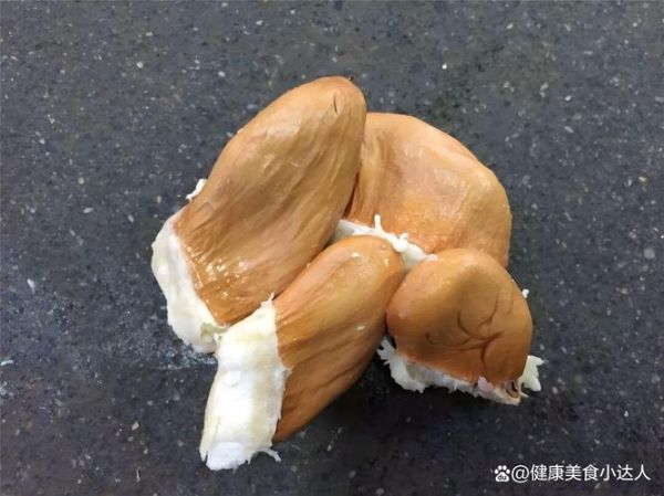 榴莲核能种出榴莲吗_榴莲核能发芽吗-第3张图片-山城妙识 榴莲核能种出榴莲吗_榴莲核能发芽吗-第3张图片-山城妙识