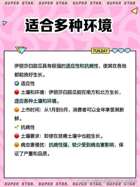 伊丽莎白瓜热量高吗_糖分高吗-第1张图片-山城妙识 伊丽莎白瓜热量高吗_糖分高吗-第1张图片-山城妙识