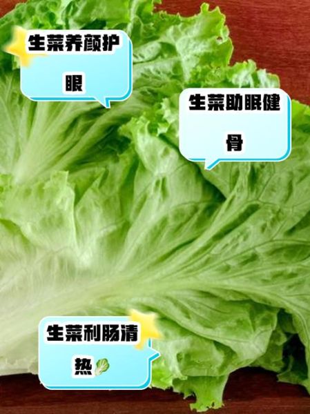 生菜生吃好还是熟吃好_哪个更营养-第1张图片-山城妙识 生菜生吃好还是熟吃好_哪个更营养-第1张图片-山城妙识