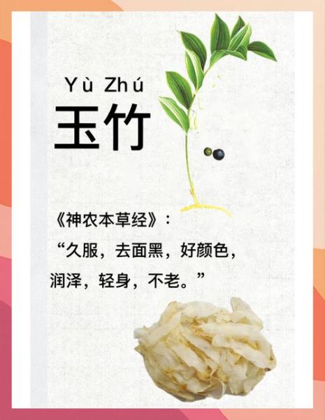 玉竹的功效与作用是什么_玉竹主治哪些疾病-第2张图片-山城妙识