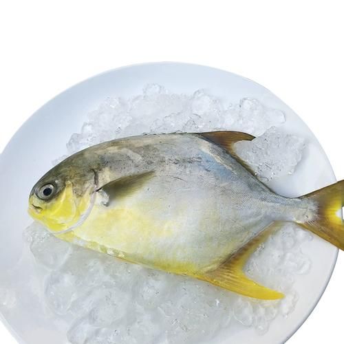 大平鱼是什么鱼_大平鱼多少钱一斤-第3张图片-山城妙识 大平鱼是什么鱼_大平鱼多少钱一斤-第3张图片-山城妙识