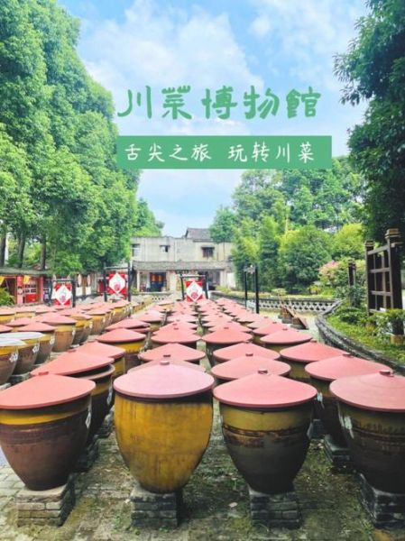 川菜博物馆值得去吗_川菜博物馆有什么特色-第1张图片-山城妙识 川菜博物馆值得去吗_川菜博物馆有什么特色-第1张图片-山城妙识