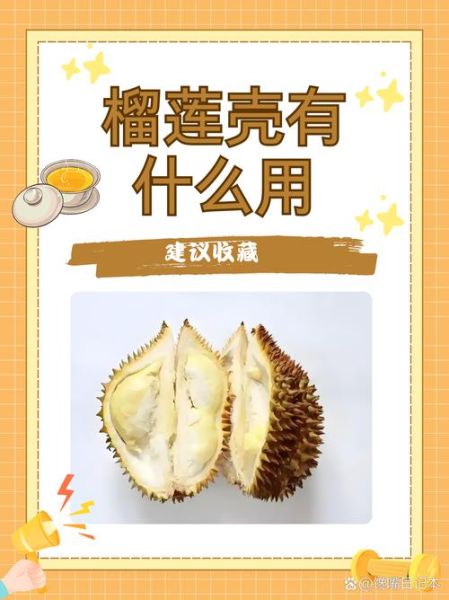 榴莲壳的功效与作用_榴莲壳的禁忌有哪些-第1张图片-山城妙识