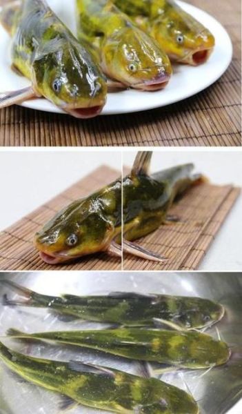 嘎鱼刺多吗_嘎鱼适合孩子吃吗-第3张图片-山城妙识