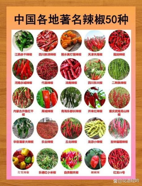 辣椒种类有哪些_哪种辣椒最辣-第2张图片-山城妙识 辣椒种类有哪些_哪种辣椒最辣-第2张图片-山城妙识